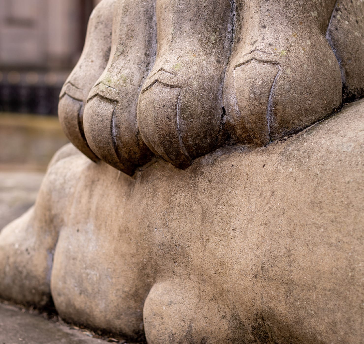 Mini Pupillage | St Ives Chambers