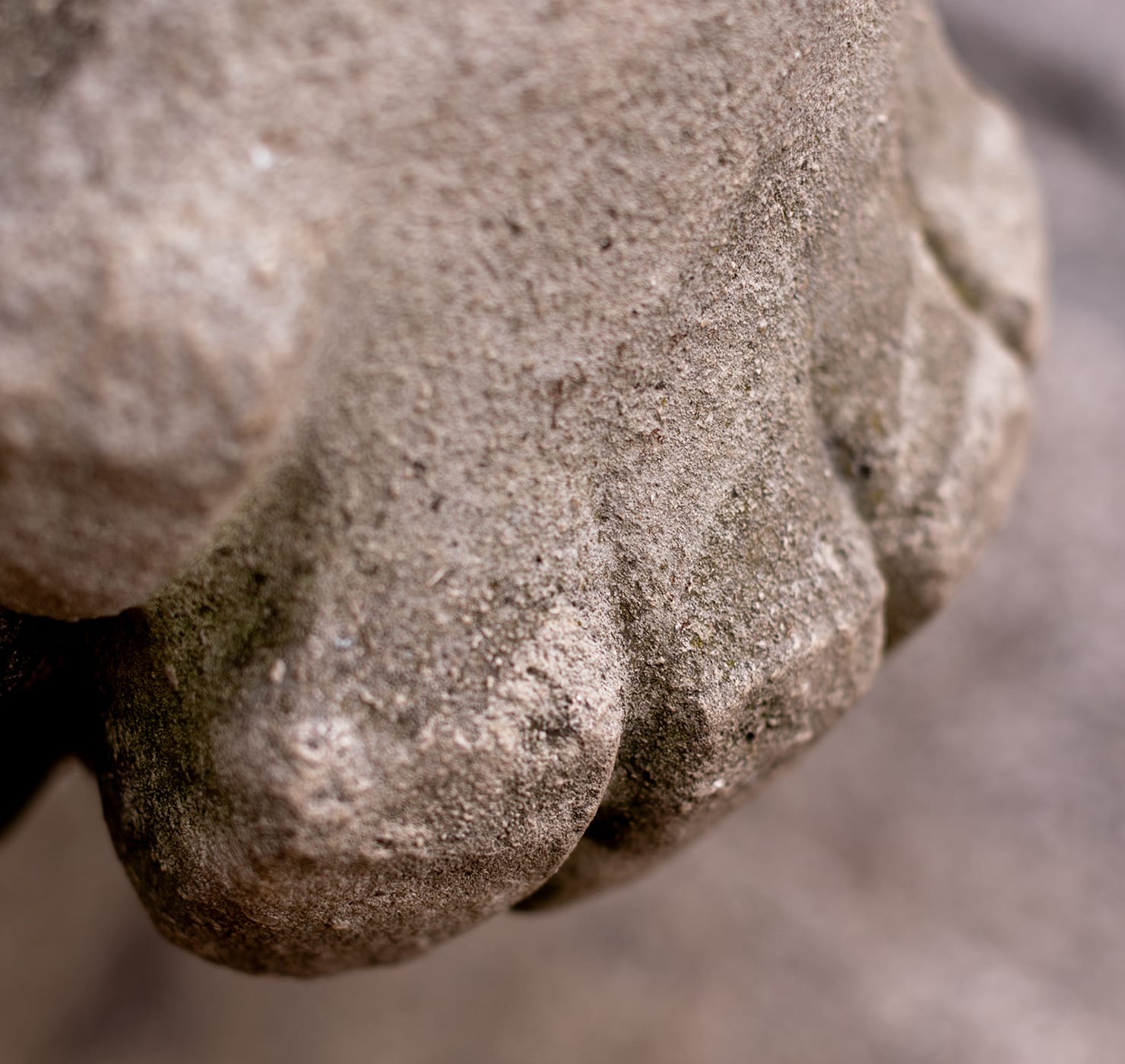 Andrew Day | St Ives Chambers